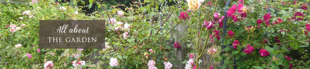 About – Welcome to Springvale Community Garden