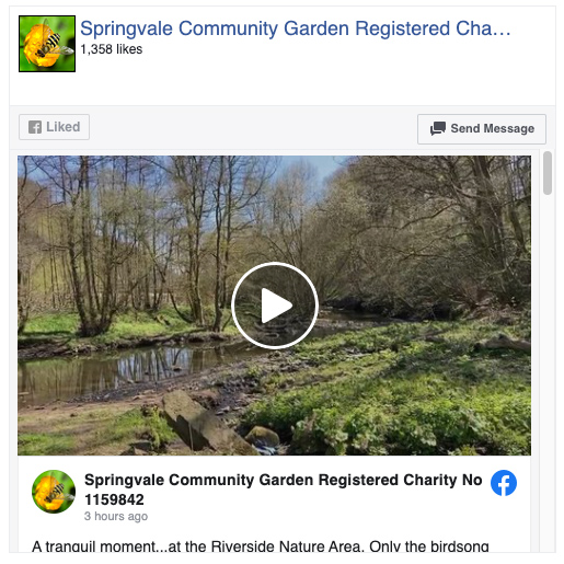 Contact us – Welcome to Springvale Community Garden