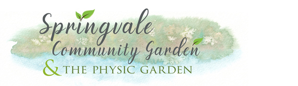 Physic Garden – Welcome to Springvale Community Garden